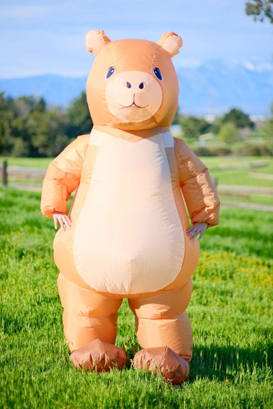 Inflatable Capybara Costume - Inflatable Animal Costumes ...